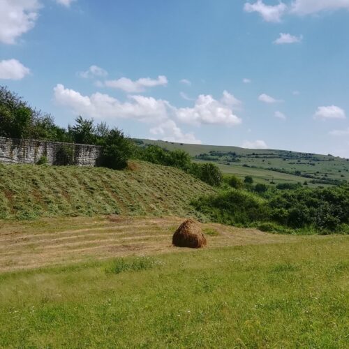 Cetatea Dăbâca din județul Cluj, o fostă cetate regală